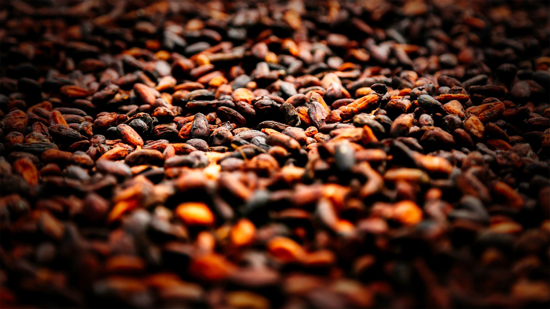 Classifieds - The Chocolate Life