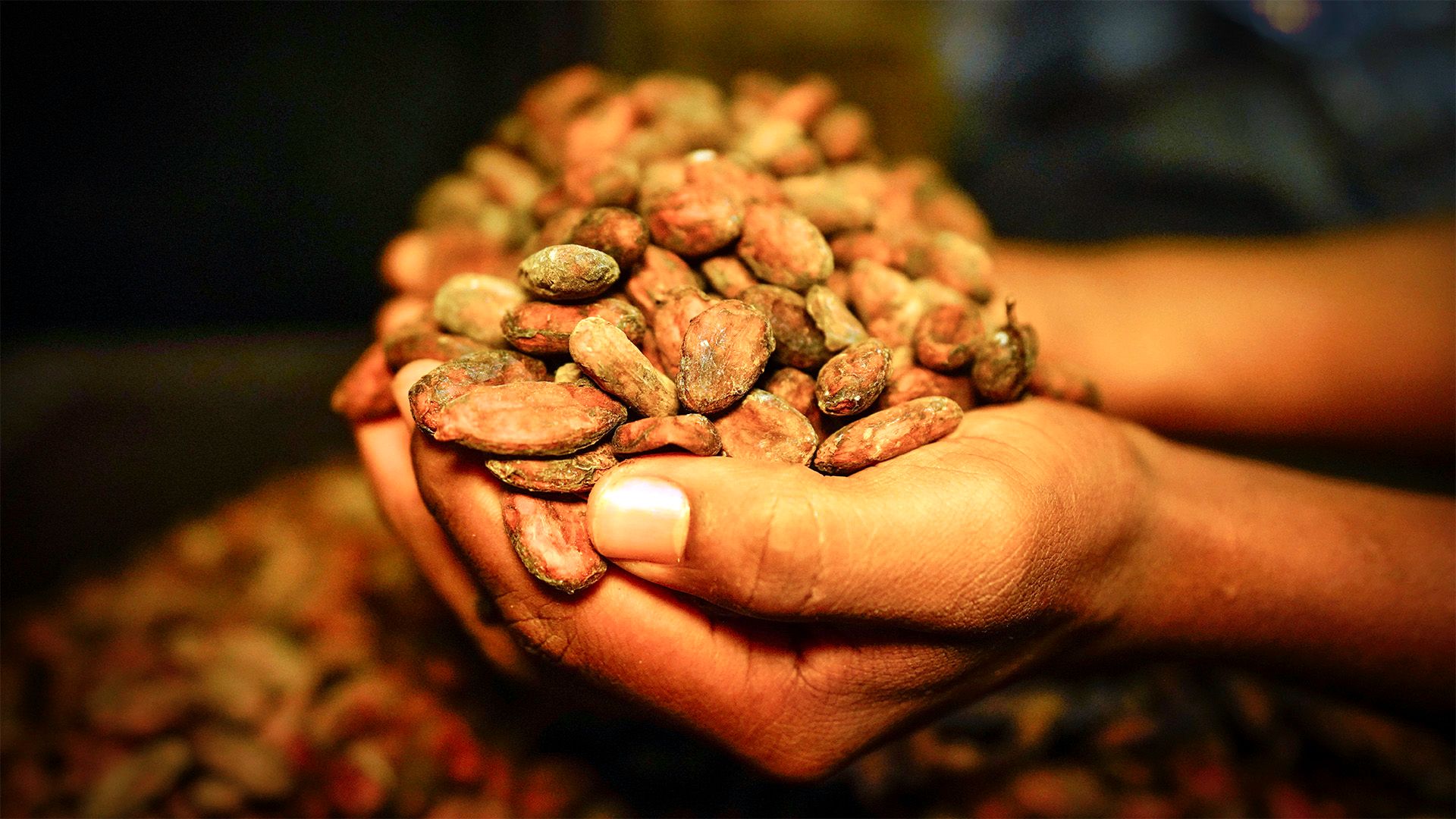 TCL LIVE | AskTCL: Ceremonial Cacao & Cacao Ceremonies